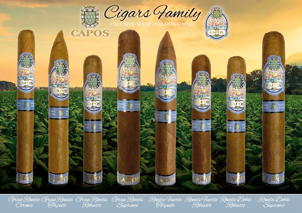 From the insert to the cap: Everything you need to know about cigars